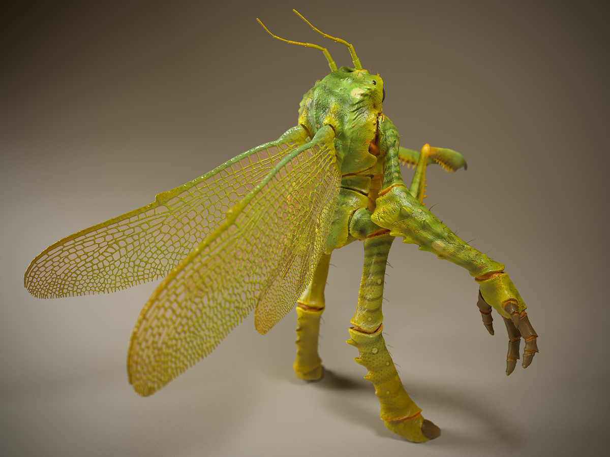 Bug --- Guillom - ZBrushCentral