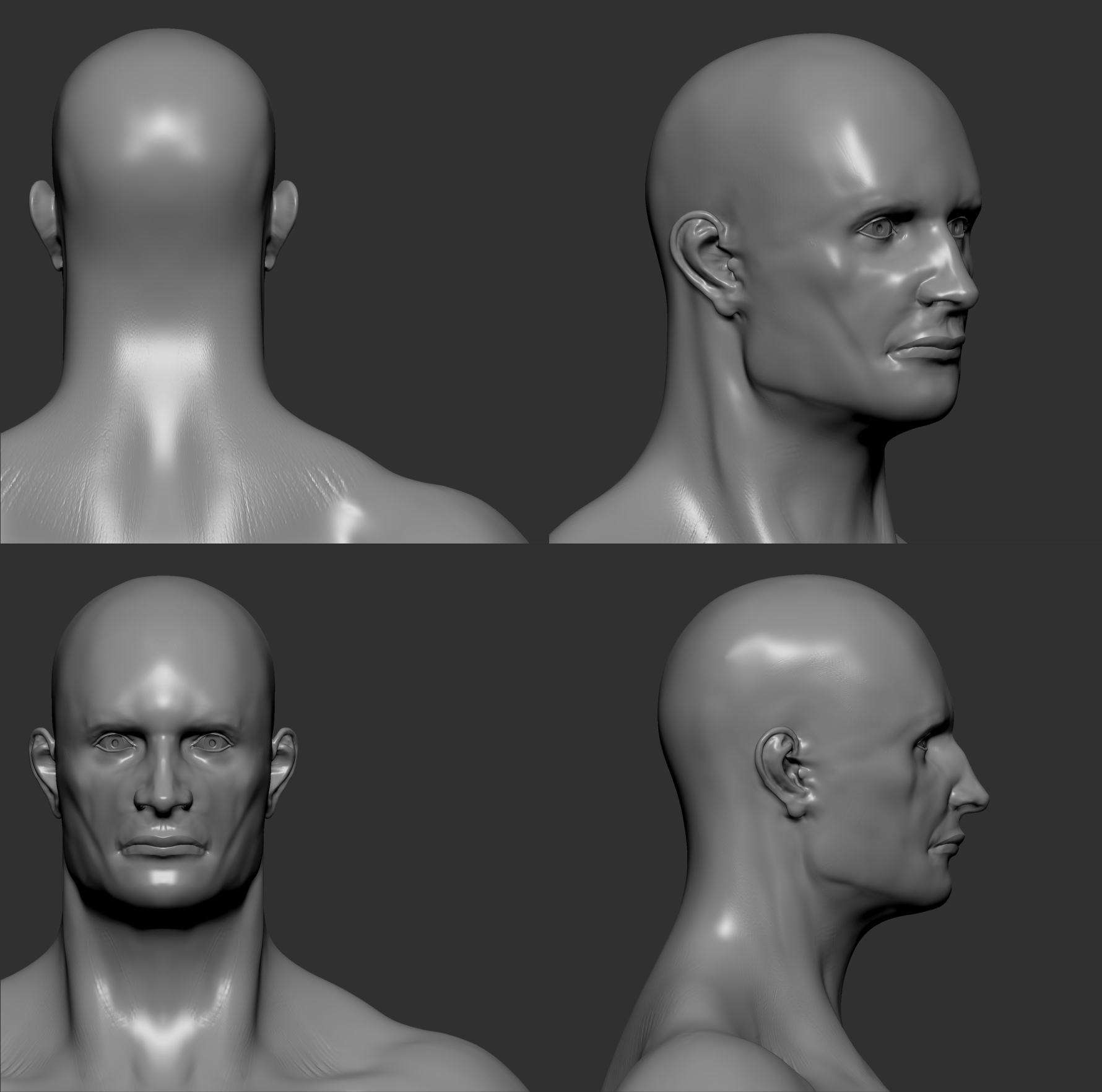 Head Sculpture - ZBrushCentral