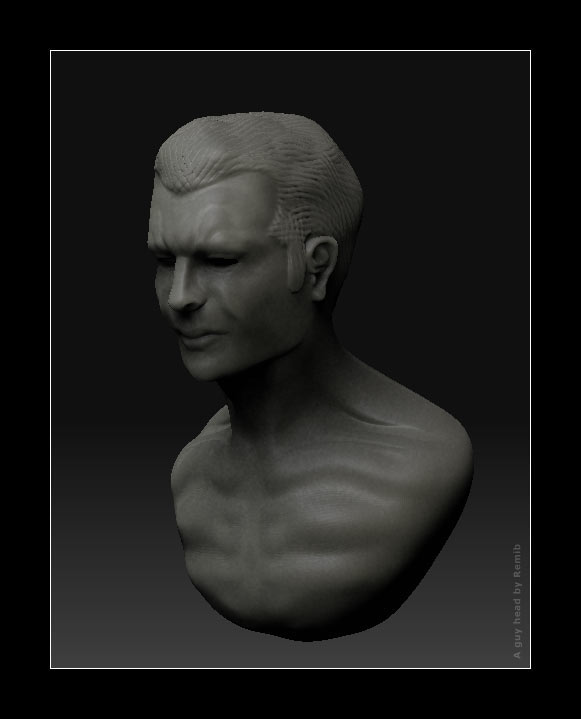 Head modeling session zscript & movie - ZBrushCentral