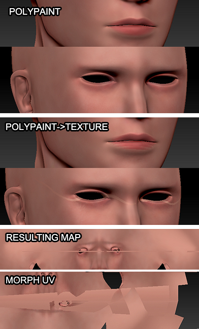 Lips Texture Map | Lipstutorial.org