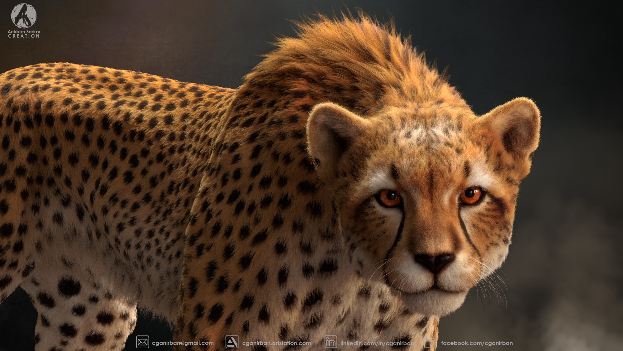 Cheetah - ZBrushCentral