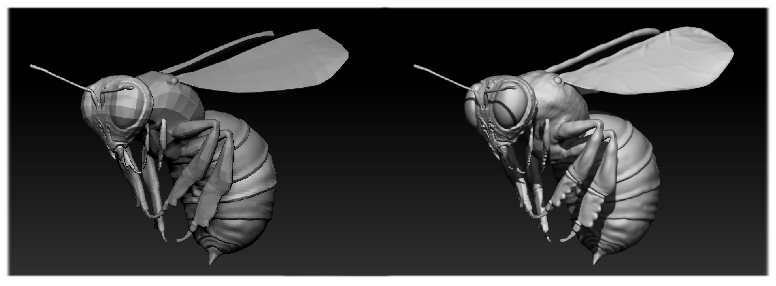 Honey Bee - ZBrushCentral