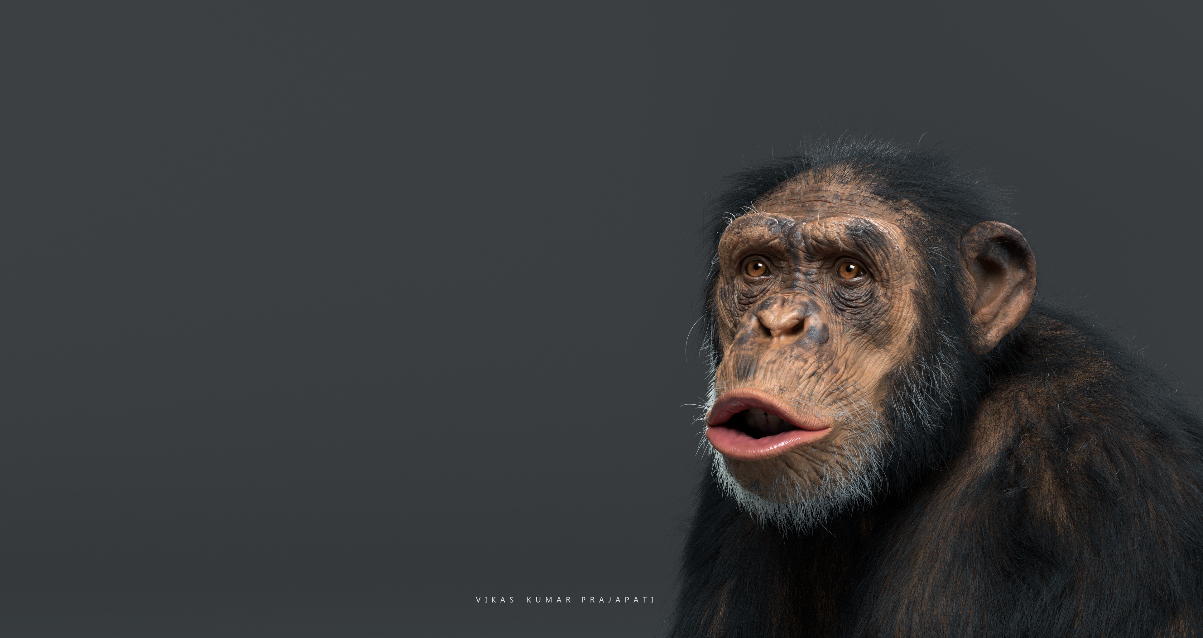 Chimp "Patrick" - ZBrushCentral
