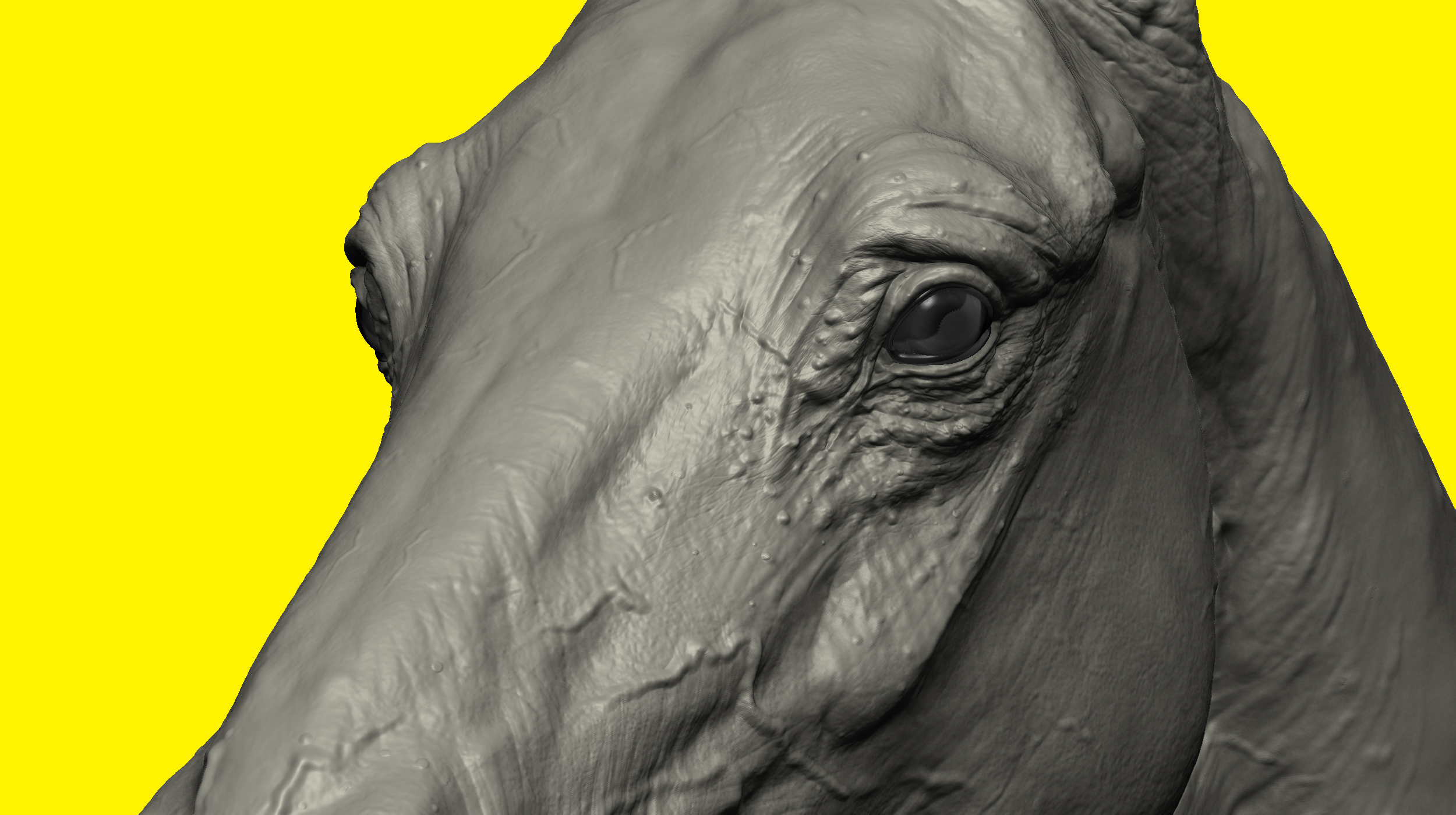 Realistic Horse Basemesh - ZBrushCentral