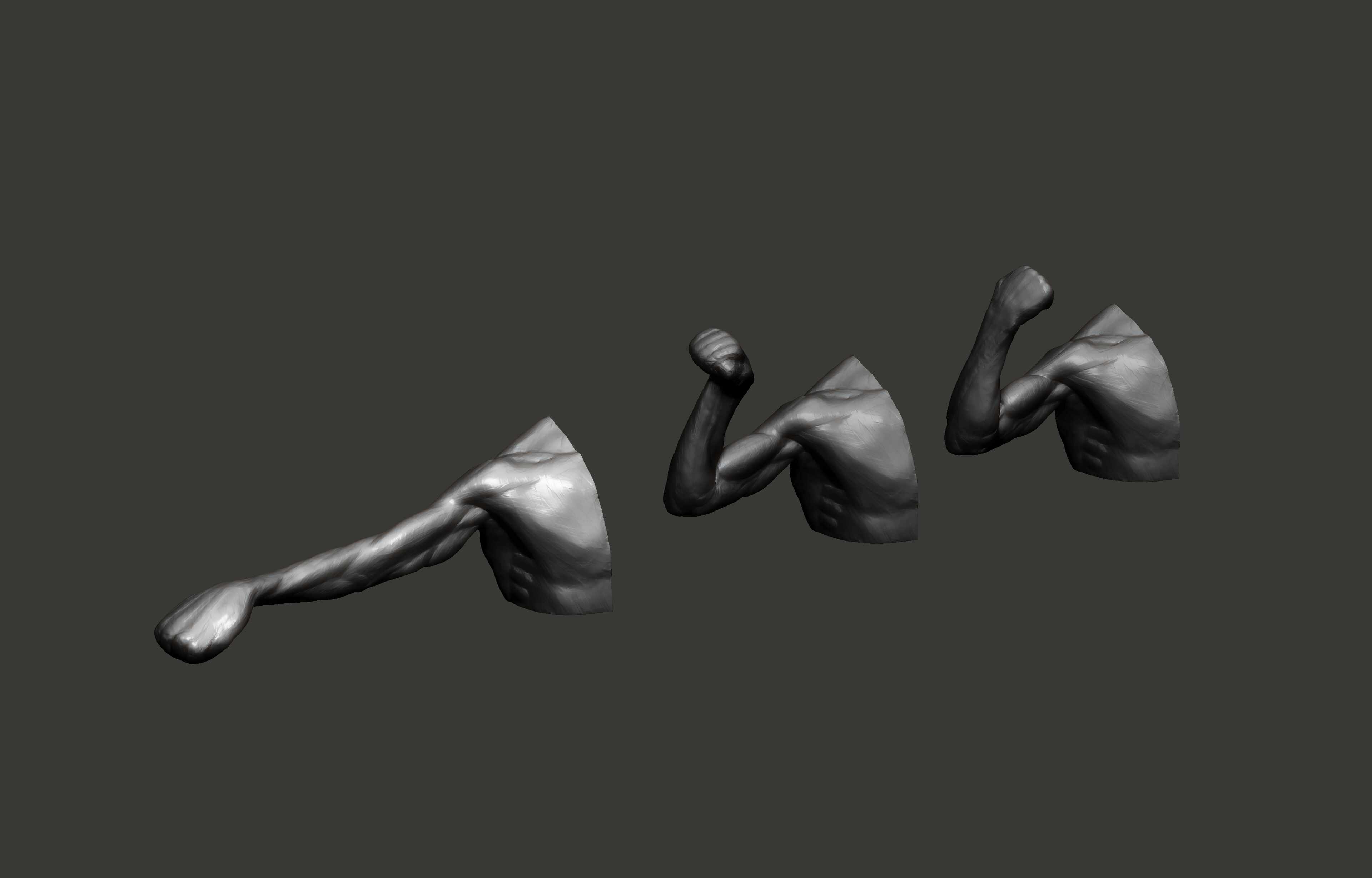 Arm Sculpt study Scott Eaton Digital Figure Sculpture Course ...