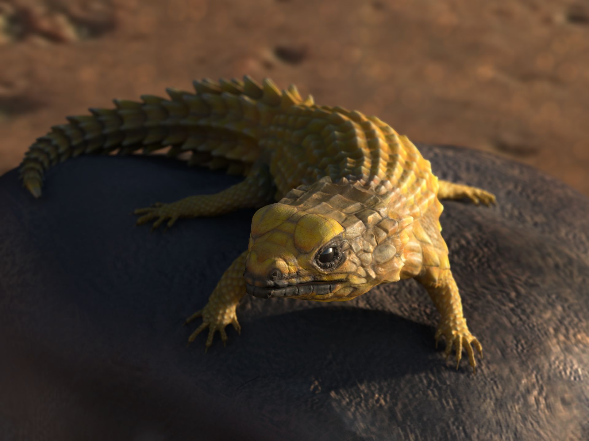 armadillo lizard wallpaper