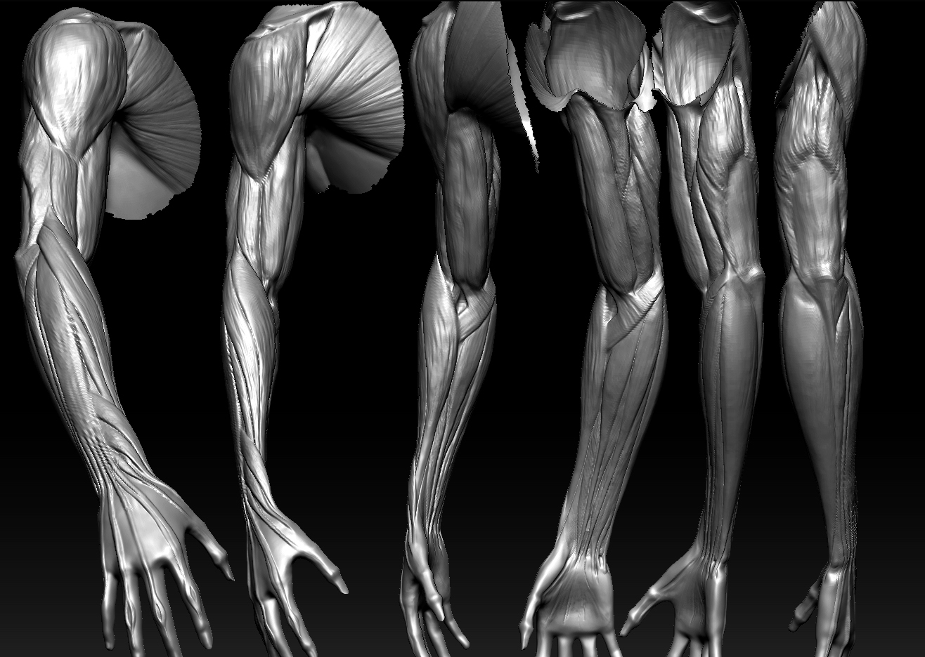 SID's WIP's/Sketchbook - ZBrushCentral