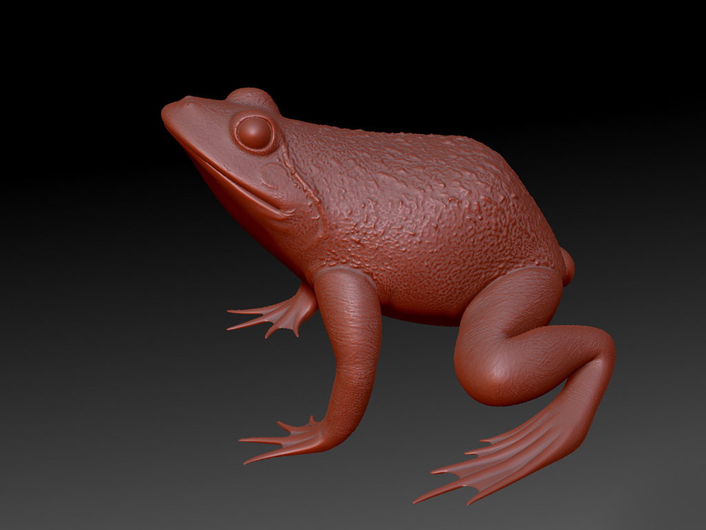 Problems With Normal Map - ZBrushCentral