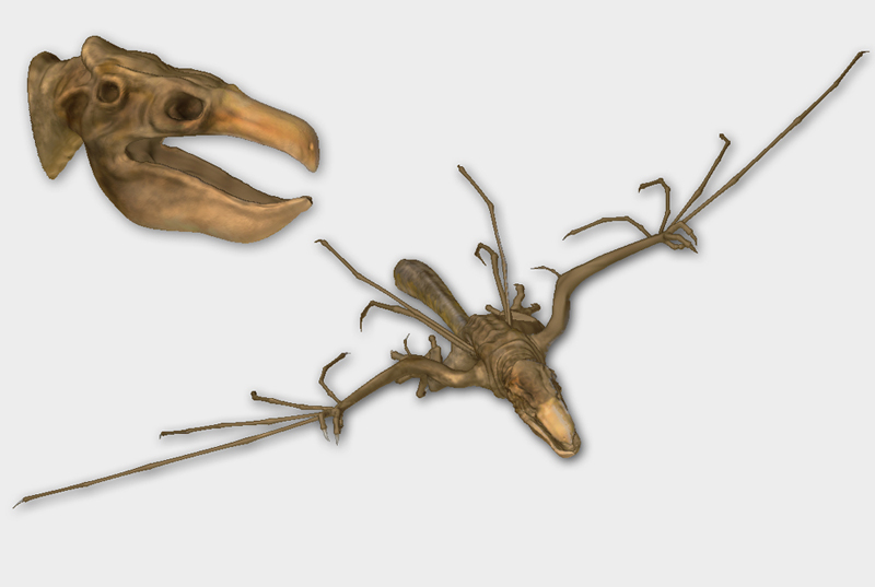 Flying Lizard - ZBrushCentral