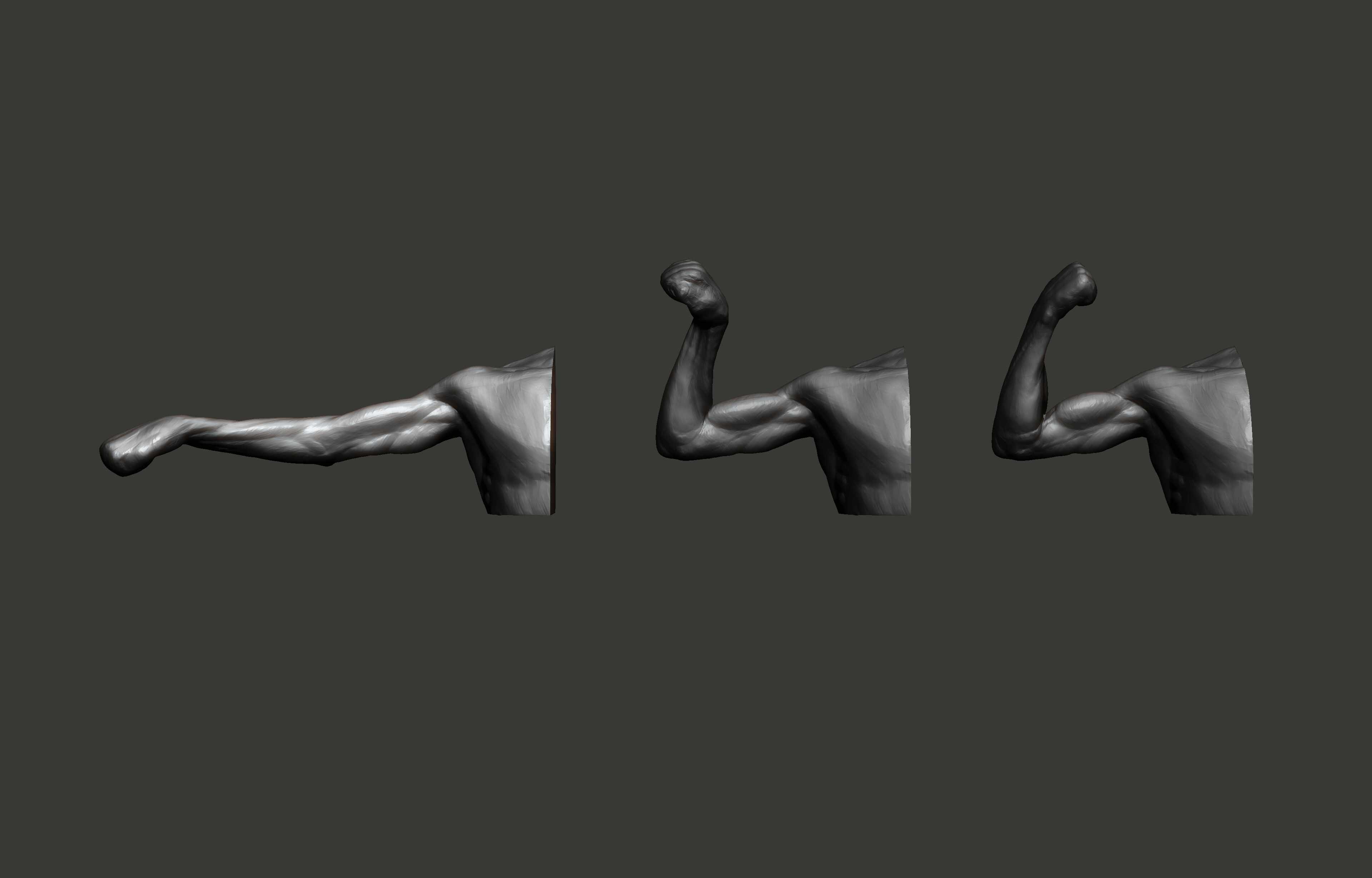 Arm Sculpt study Scott Eaton Digital Figure Sculpture Course ...