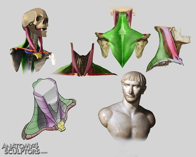 My first Alien - ZBrushCentral