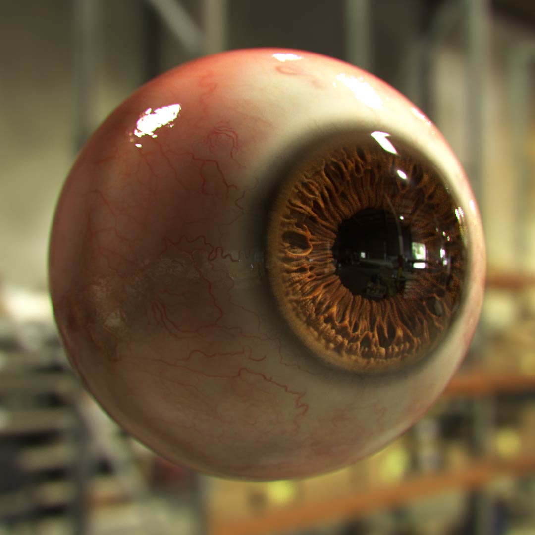 Realistic Human Eye 3D Model ZBrushCentral