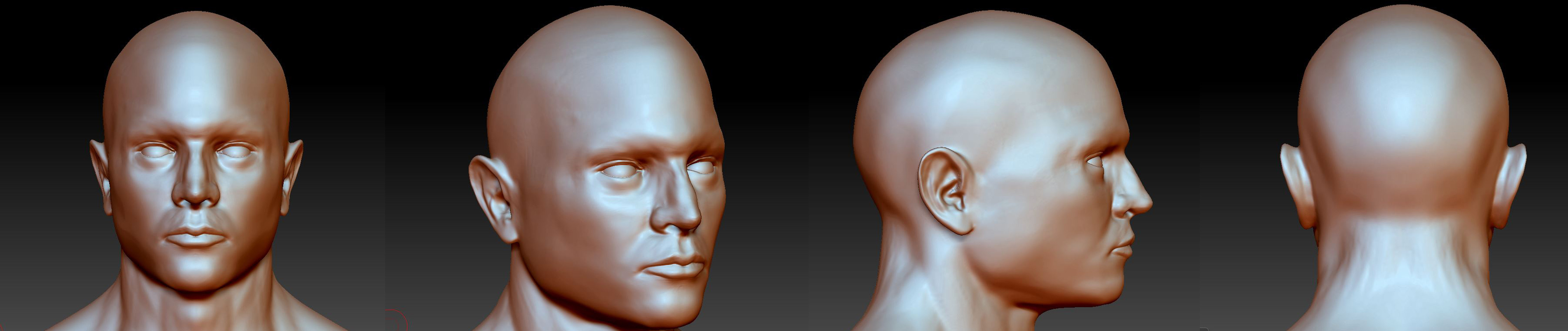 Anatomy Help and Advice - ZBrushCentral
