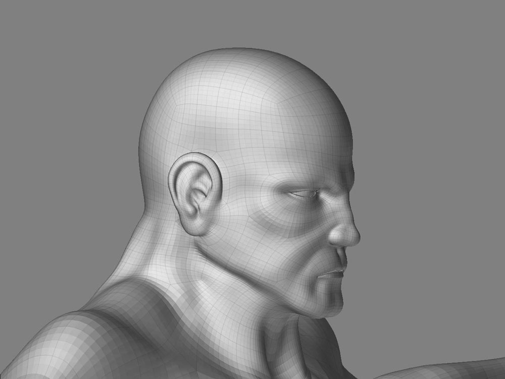 Digital character; anatomy of modeling - ZBrushCentral