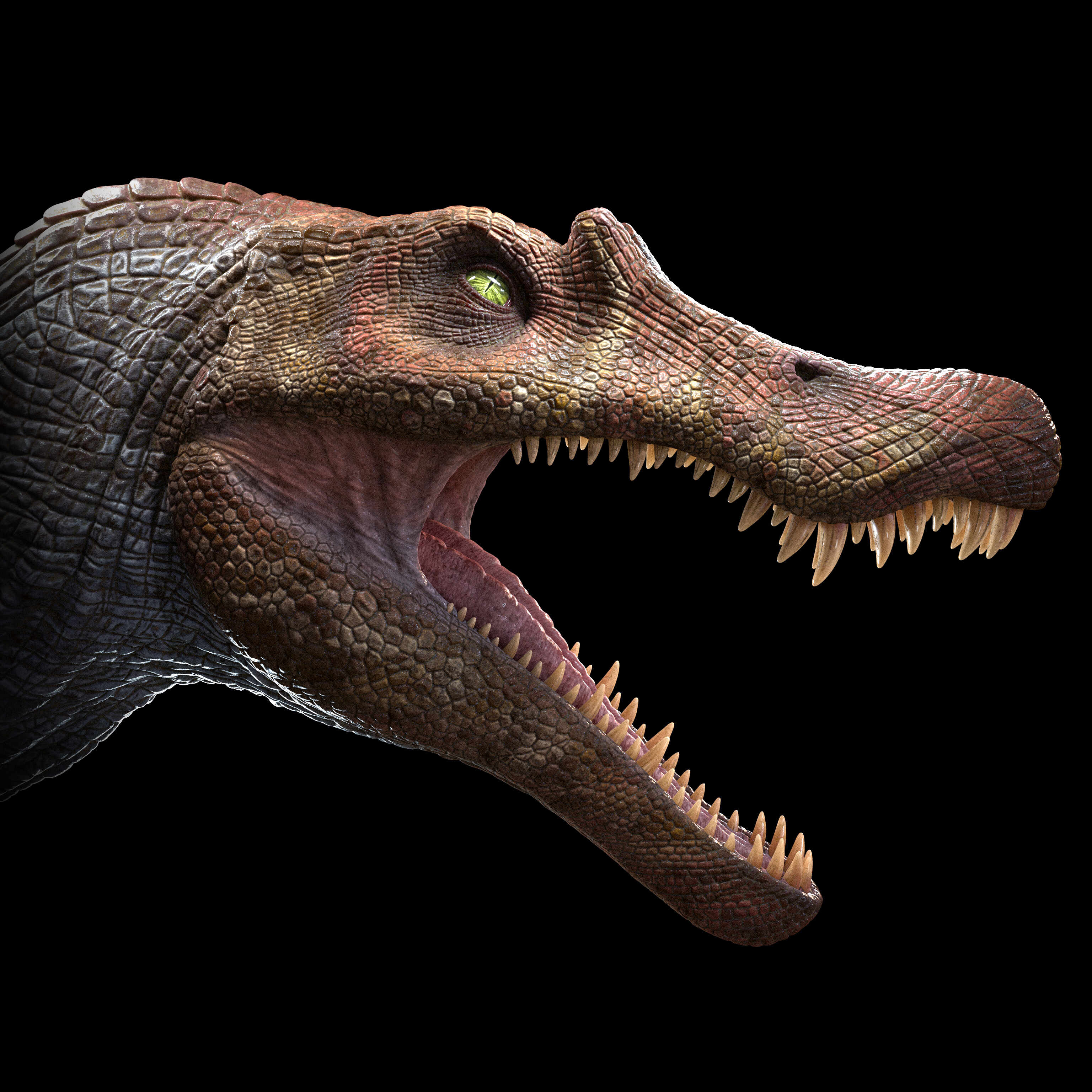 Hi all, recently completed this Spinosaurus head - ZBrushCentral