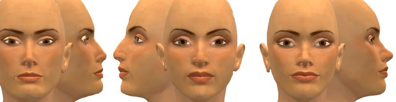 Poser Face Morphs!!! - ZBrushCentral