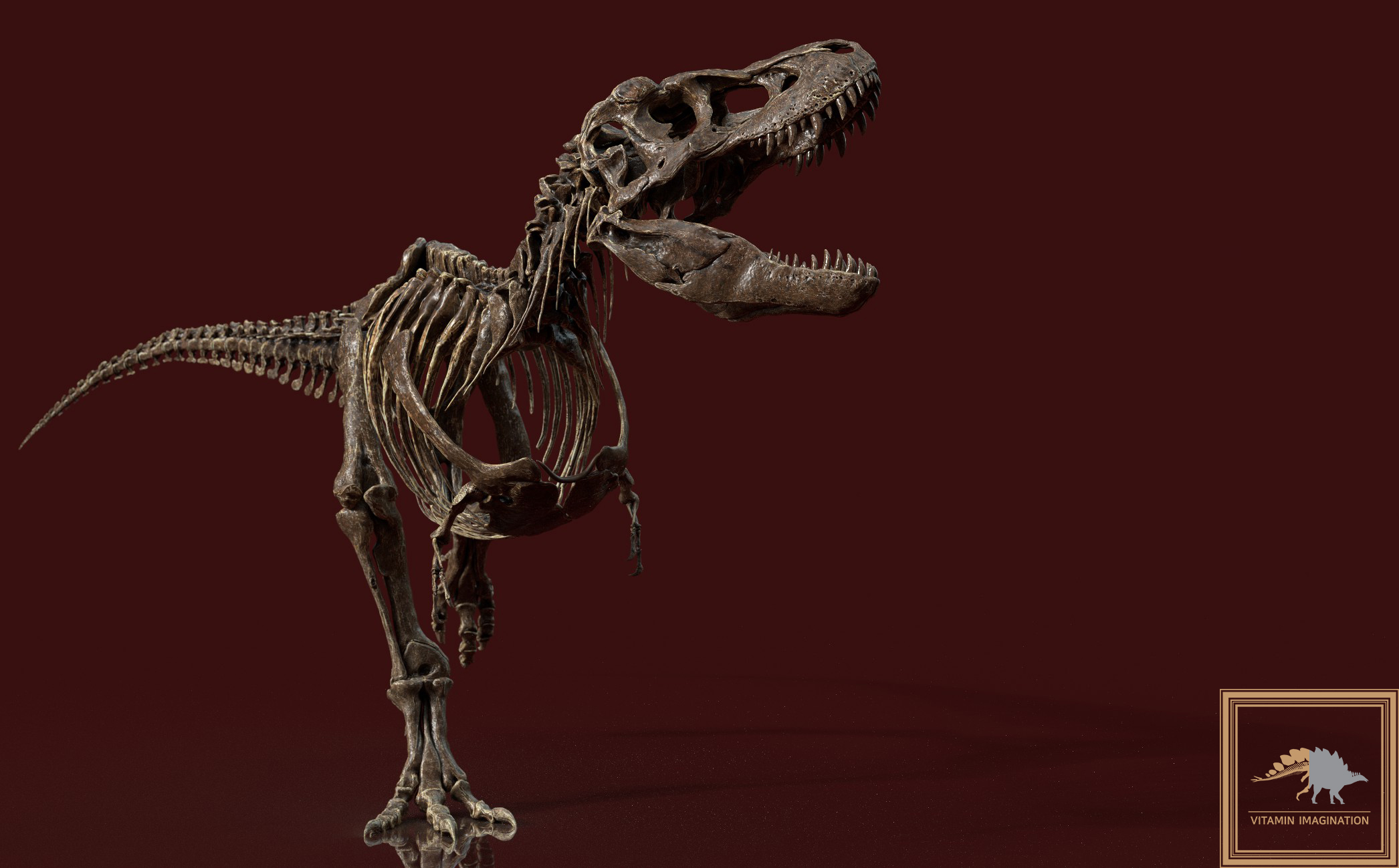 tarbosaurus skull 3d