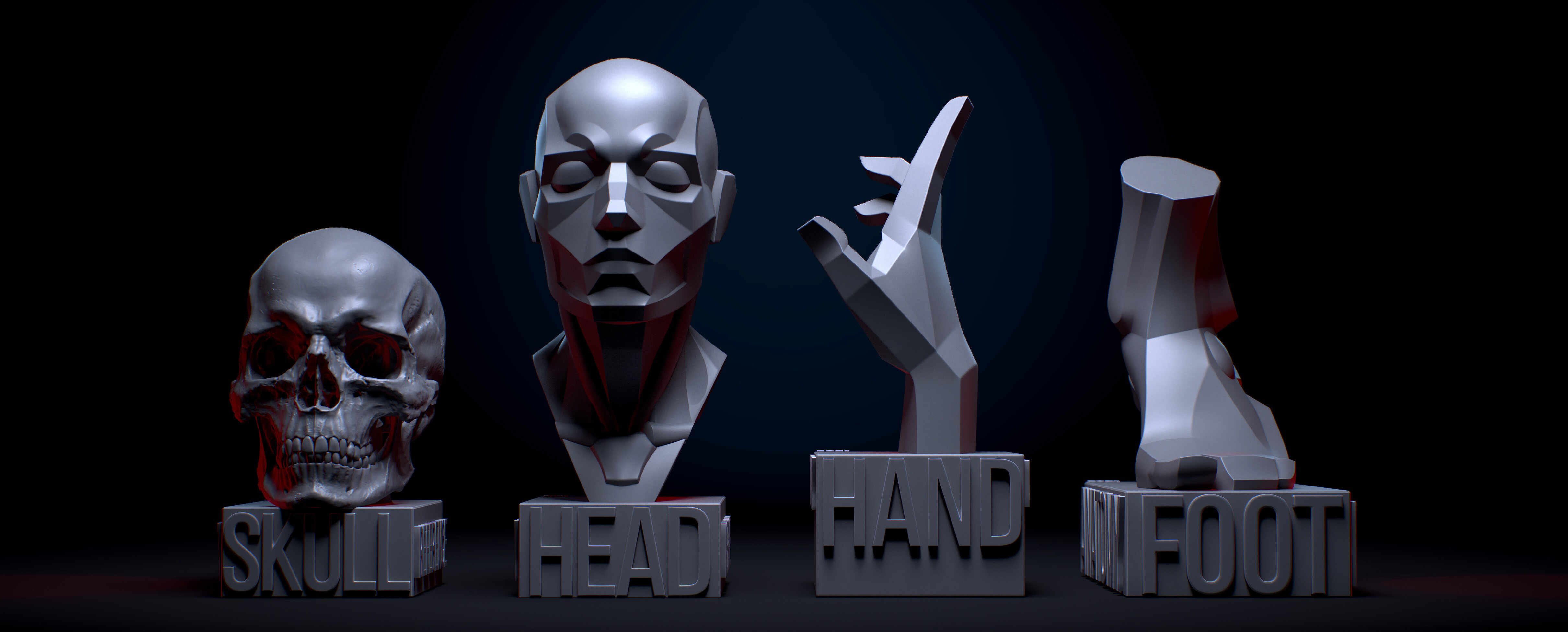 Anatomical manuals for artist - ZBrushCentral