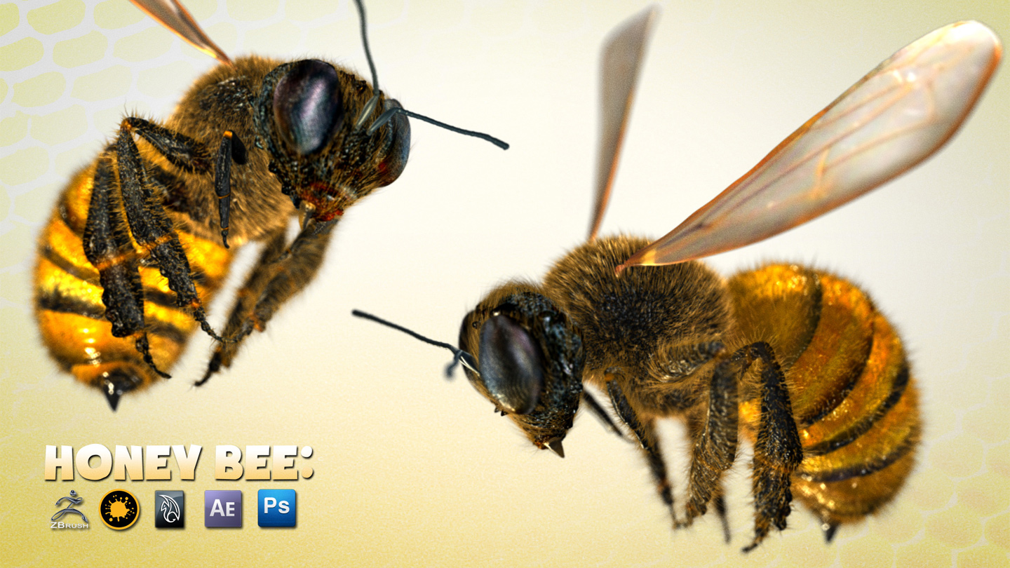 Honey Bee - ZBrushCentral