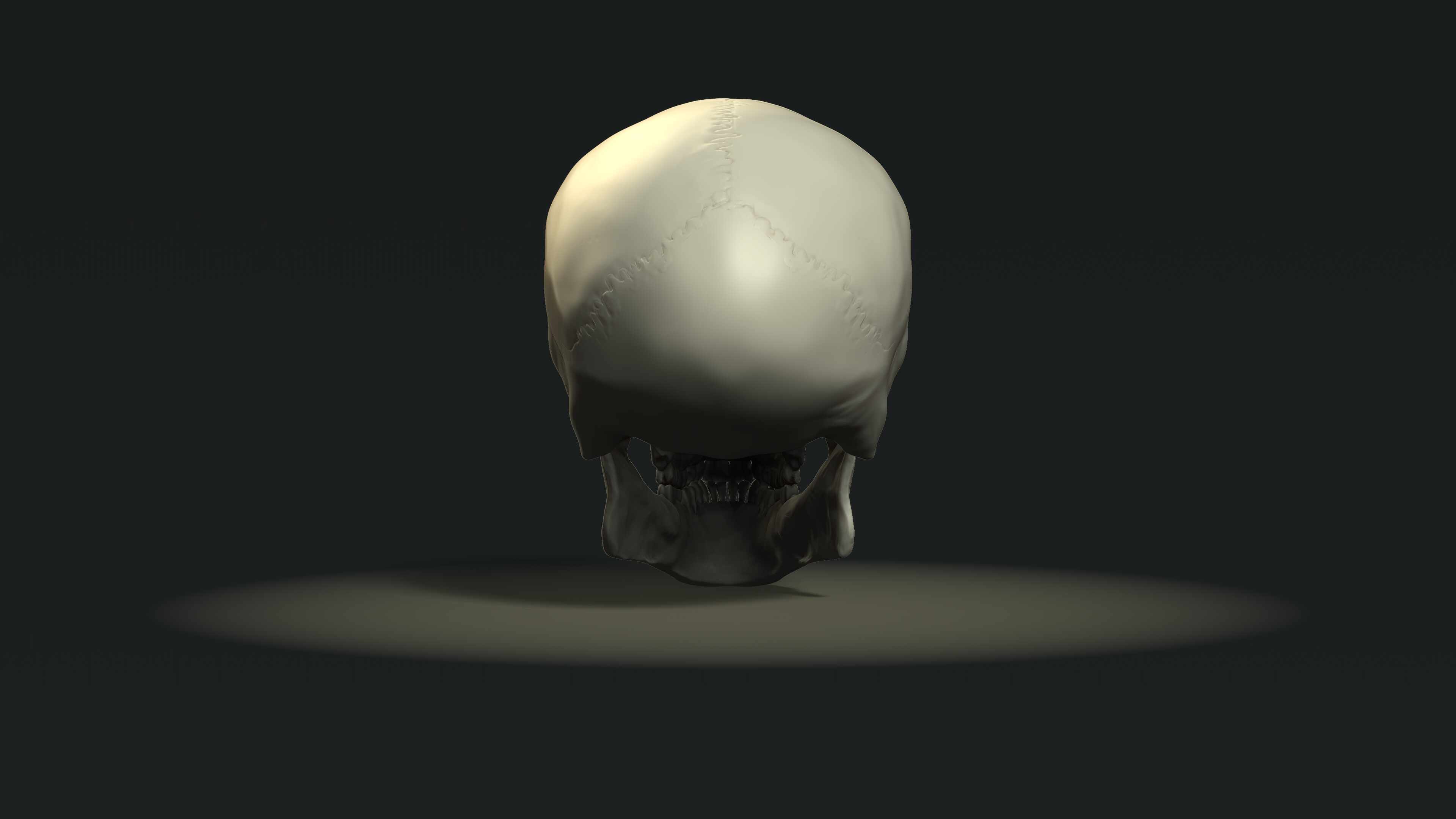 Human skull - ZBrushCentral