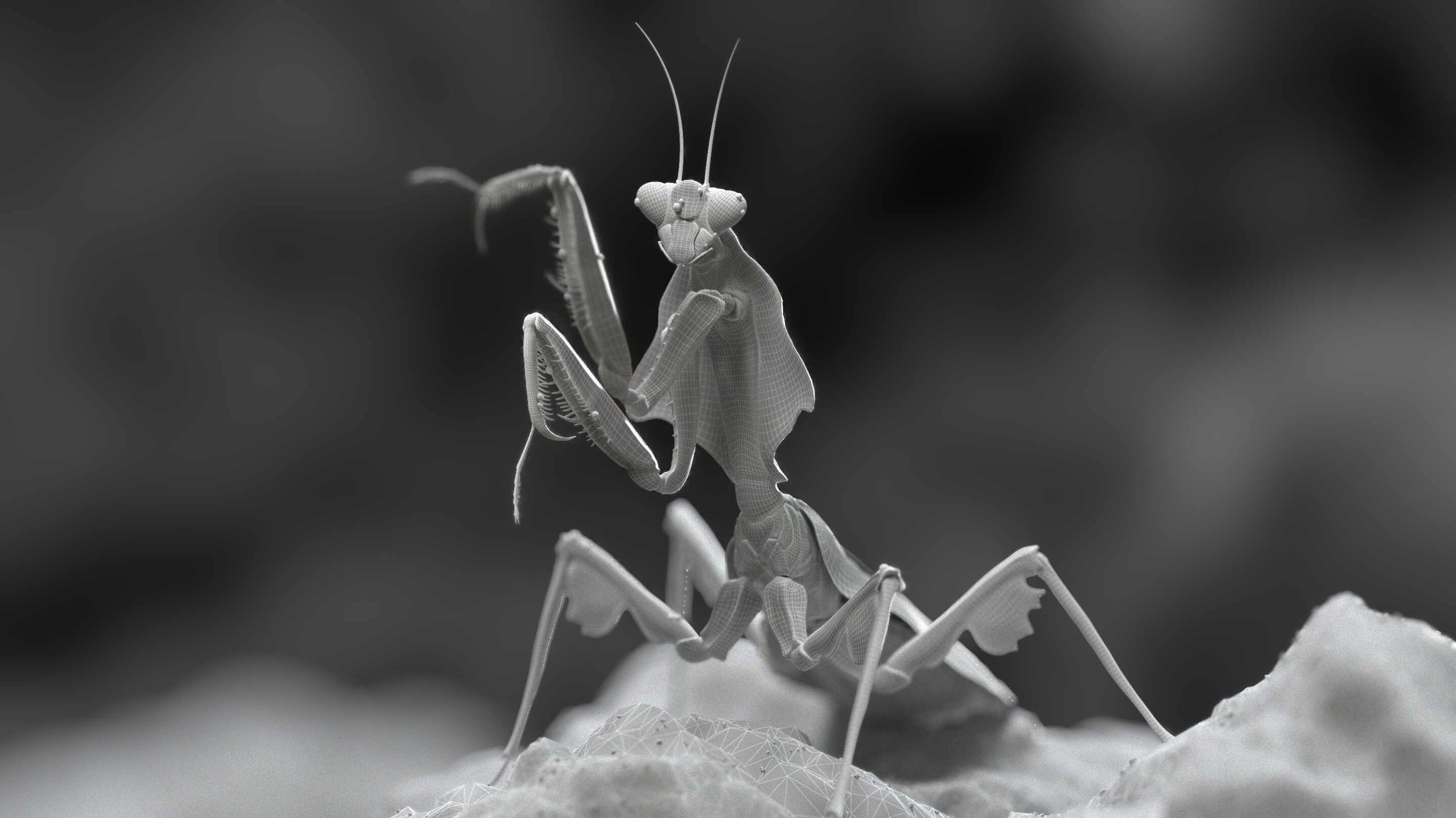 Dead Leaf Mantis - ZBrushCentral