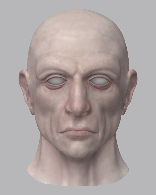 Anatomy New Project Zbrushcentral