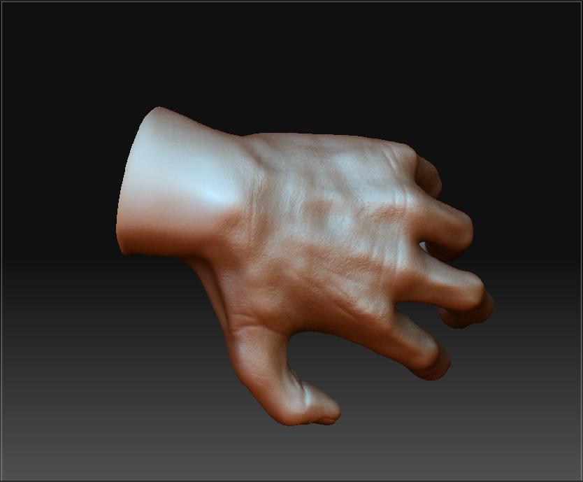 Hand - Work in Progress - ZBrushCentral