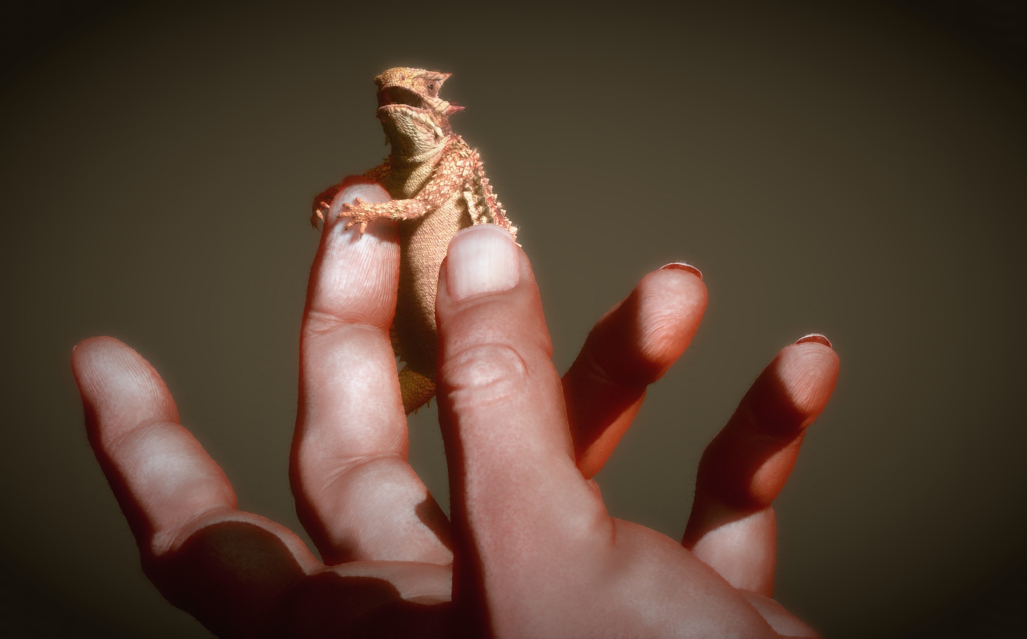 Horned Lizard for ZBrush Beta - ZBrushCentral