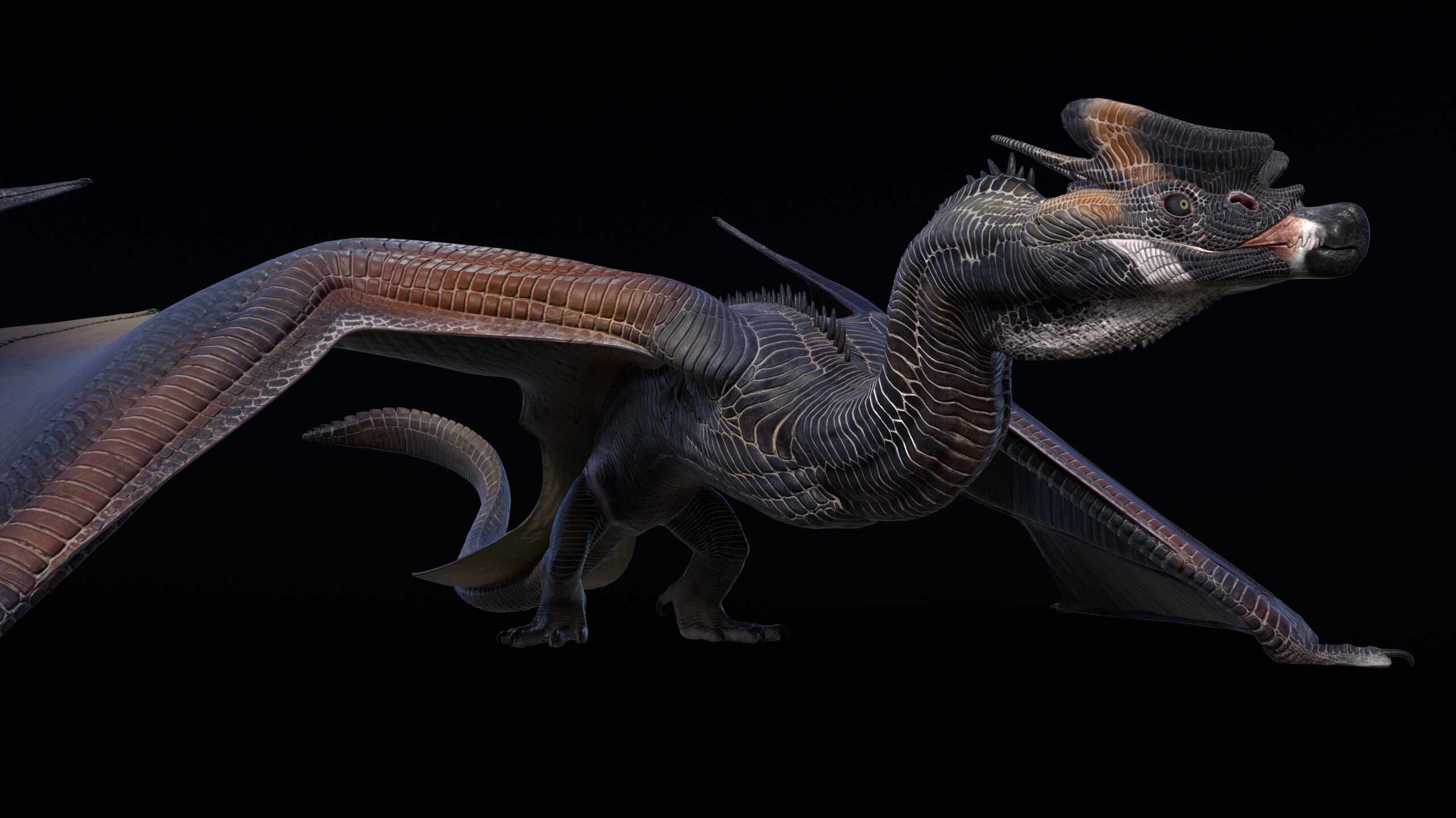 Ostrowski's Cliffdrake - ZBrushCentral