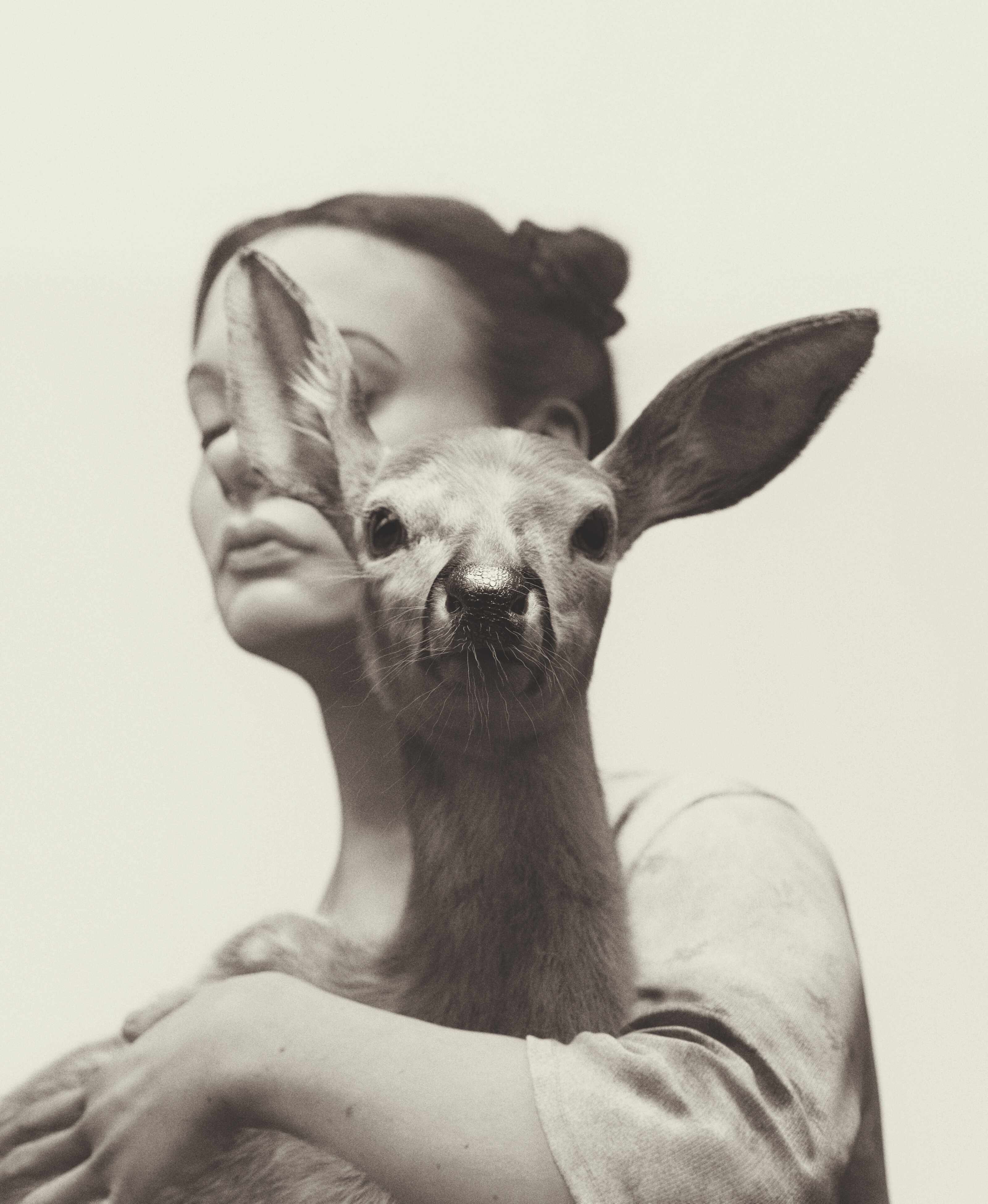 Deer and Girl - ZBrushCentral