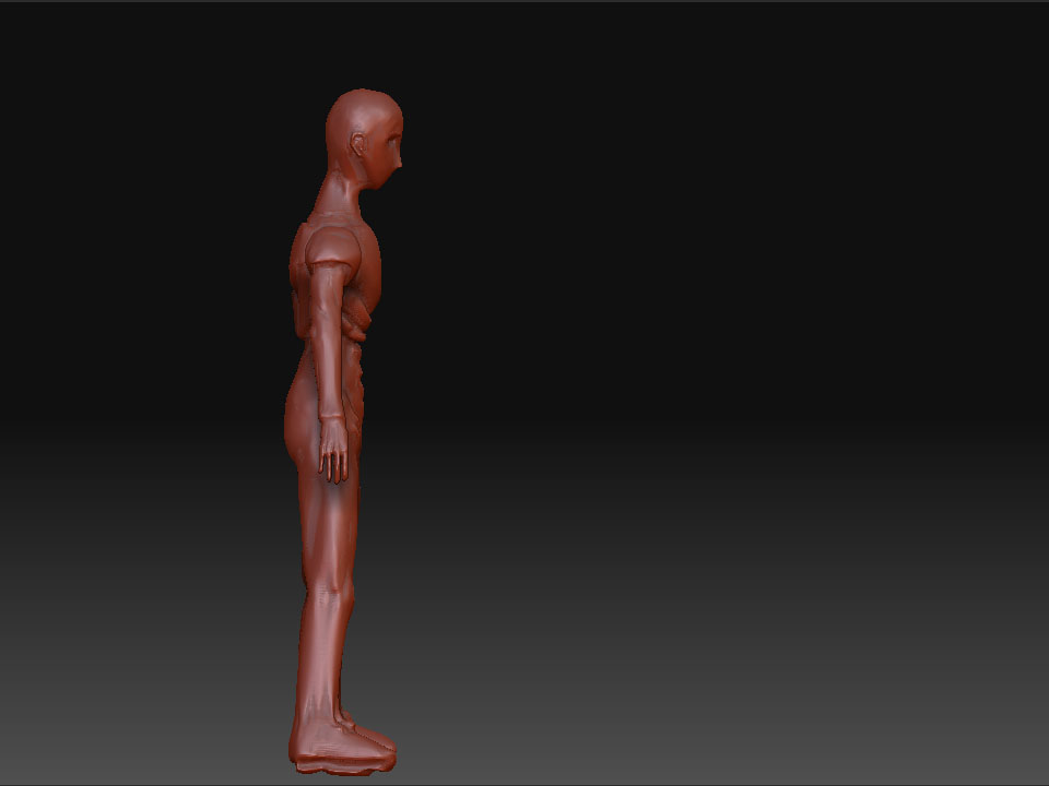 Work in Progress - ZBrushCentral