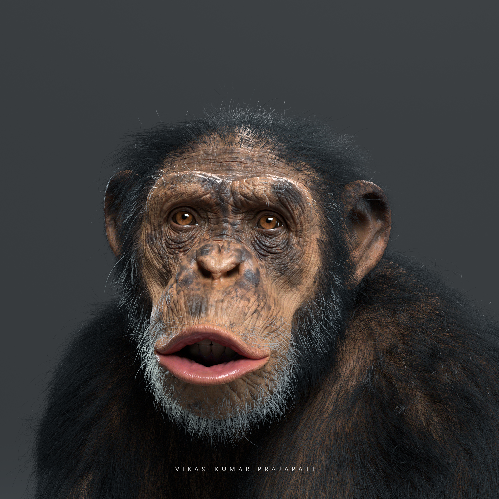 Chimp "Patrick" - ZBrushCentral