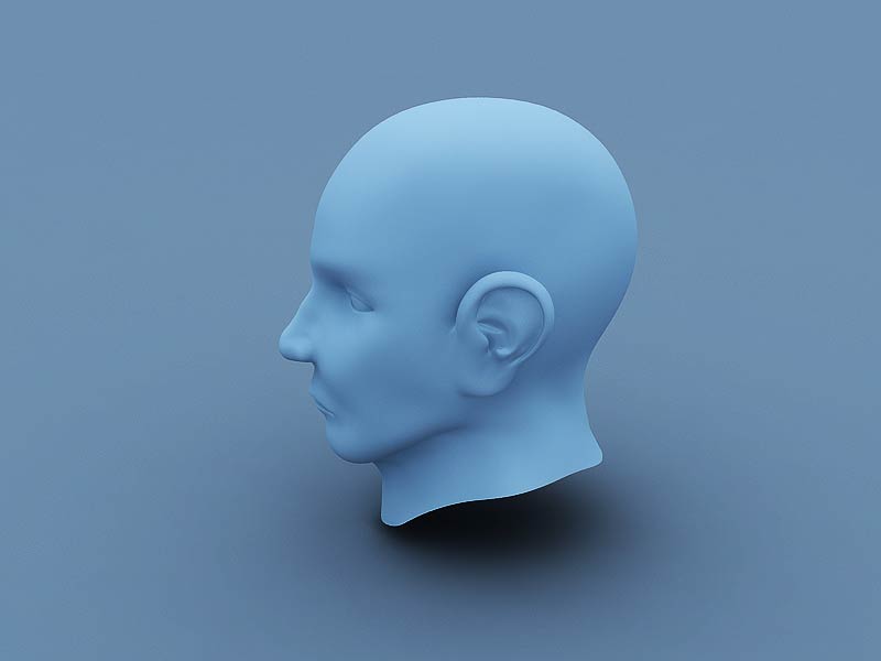 Digital character; anatomy of modeling - ZBrushCentral