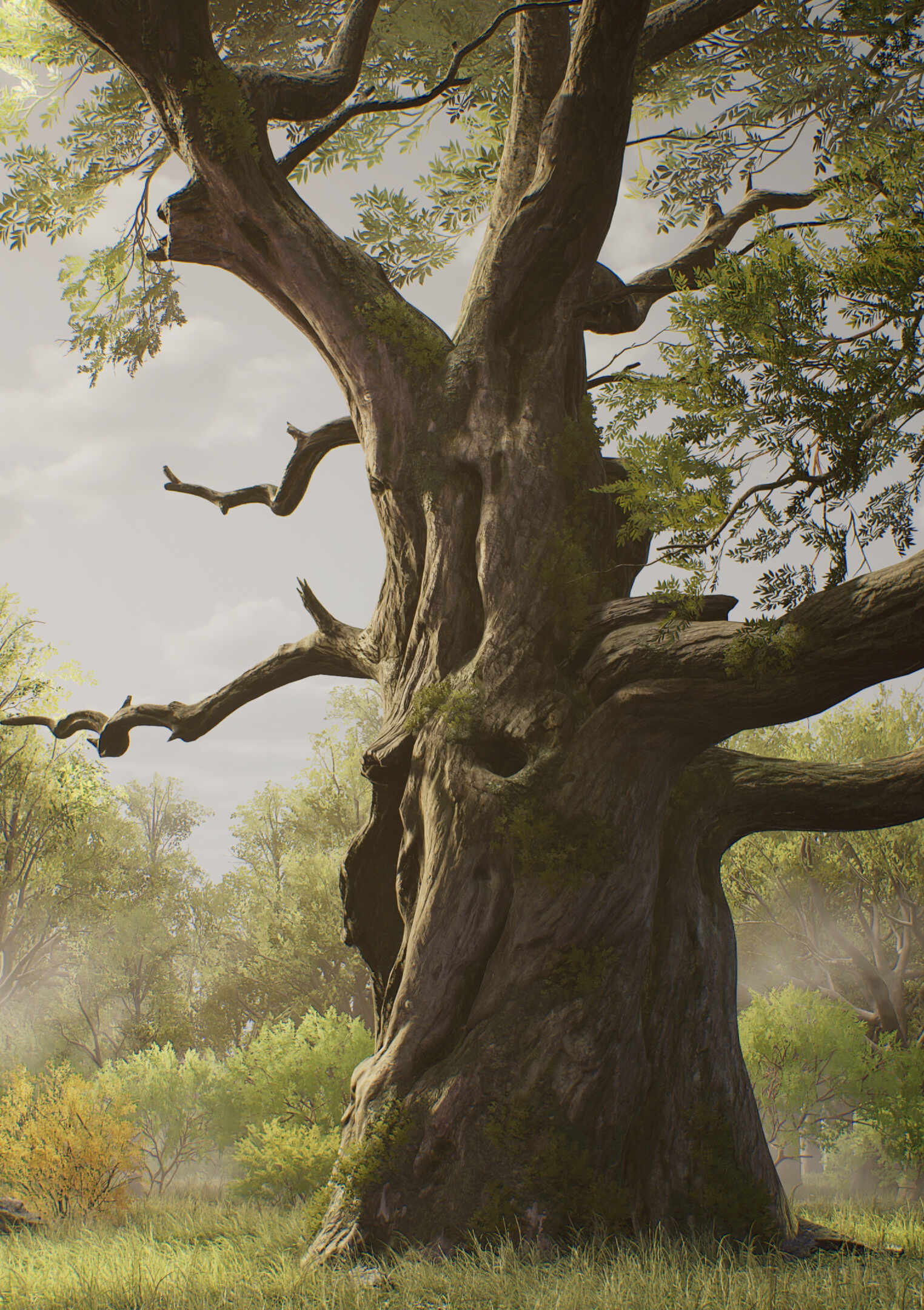 IMPRESSION TREE 2.0 - ZBrushCentral