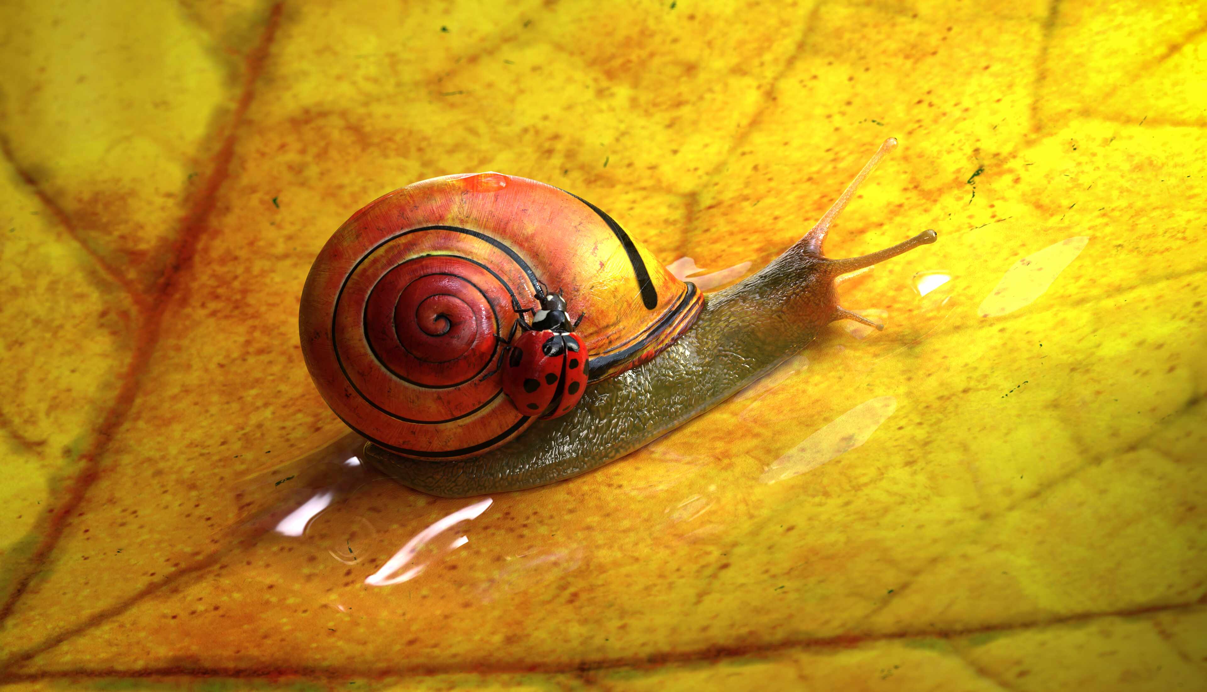 The Snaily Ride - ZBrushCentral