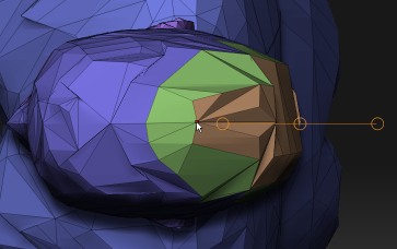 Edge Loop Bug? - ZBrushCentral