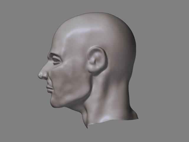 Another ' My first head ever' (wip) - ZBrushCentral