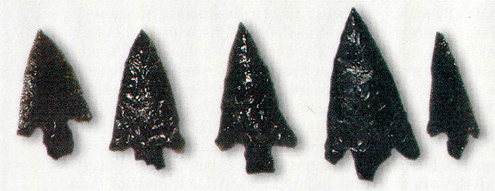 Need help - ZBrushCentral