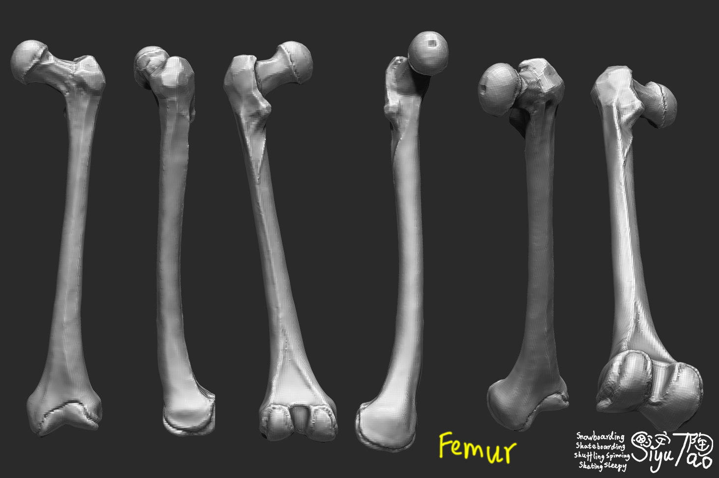 Human Skeleton Study - ZBrushCentral