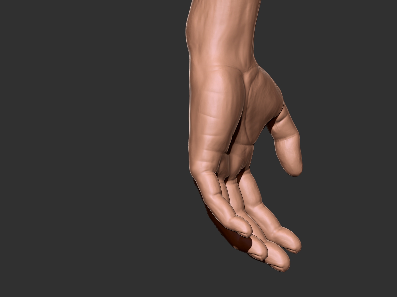 Hands Study - ZBrushCentral