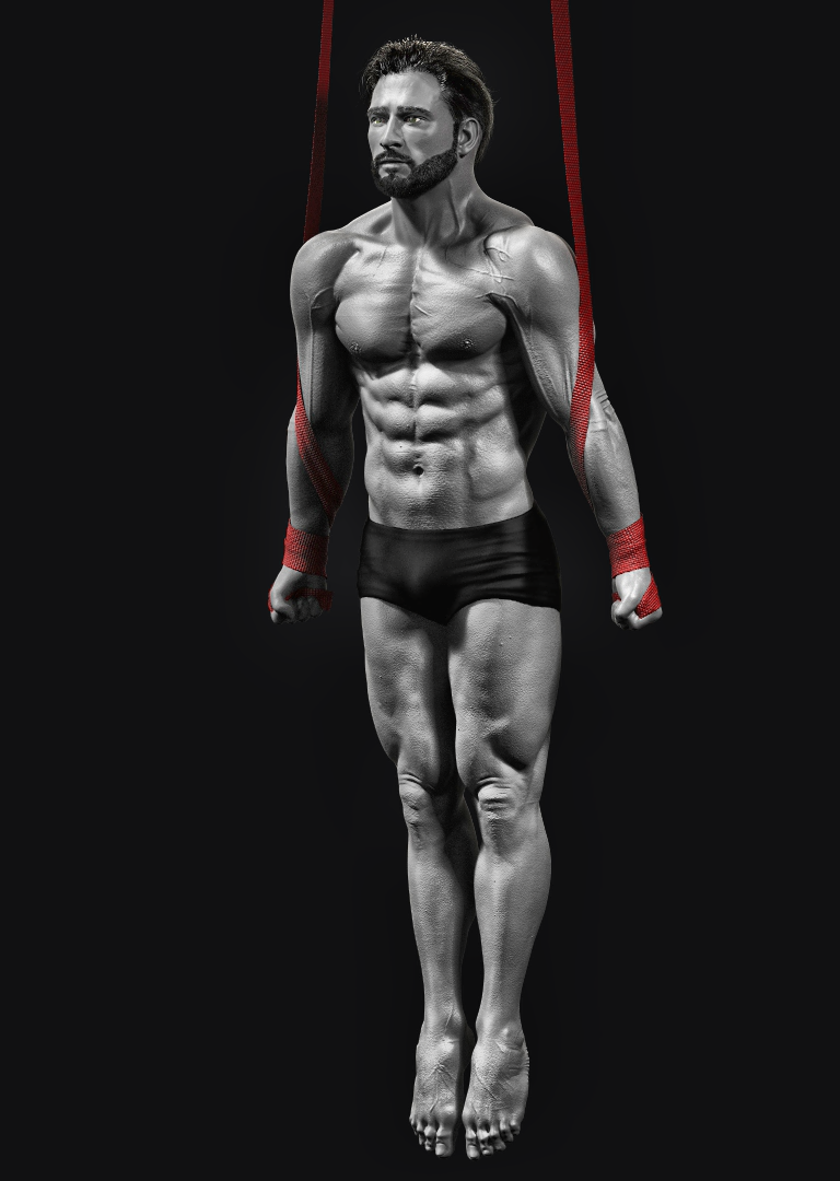 Anatomy Study Zbrushcentral