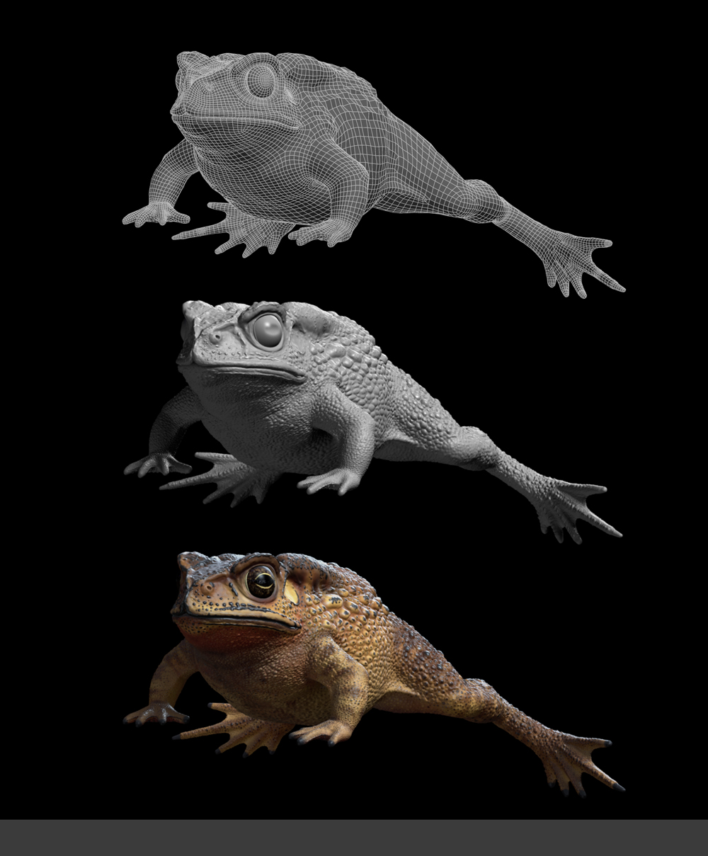 Toad - ZBrushCentral