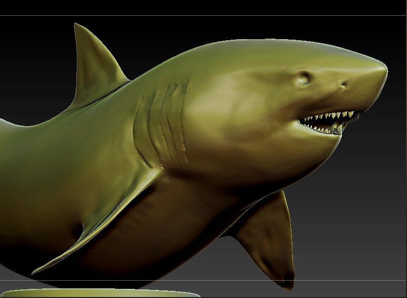 My little shark - ZBrushCentral