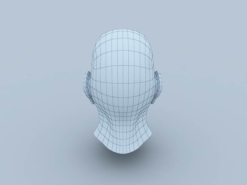 Digital character; anatomy of modeling - ZBrushCentral