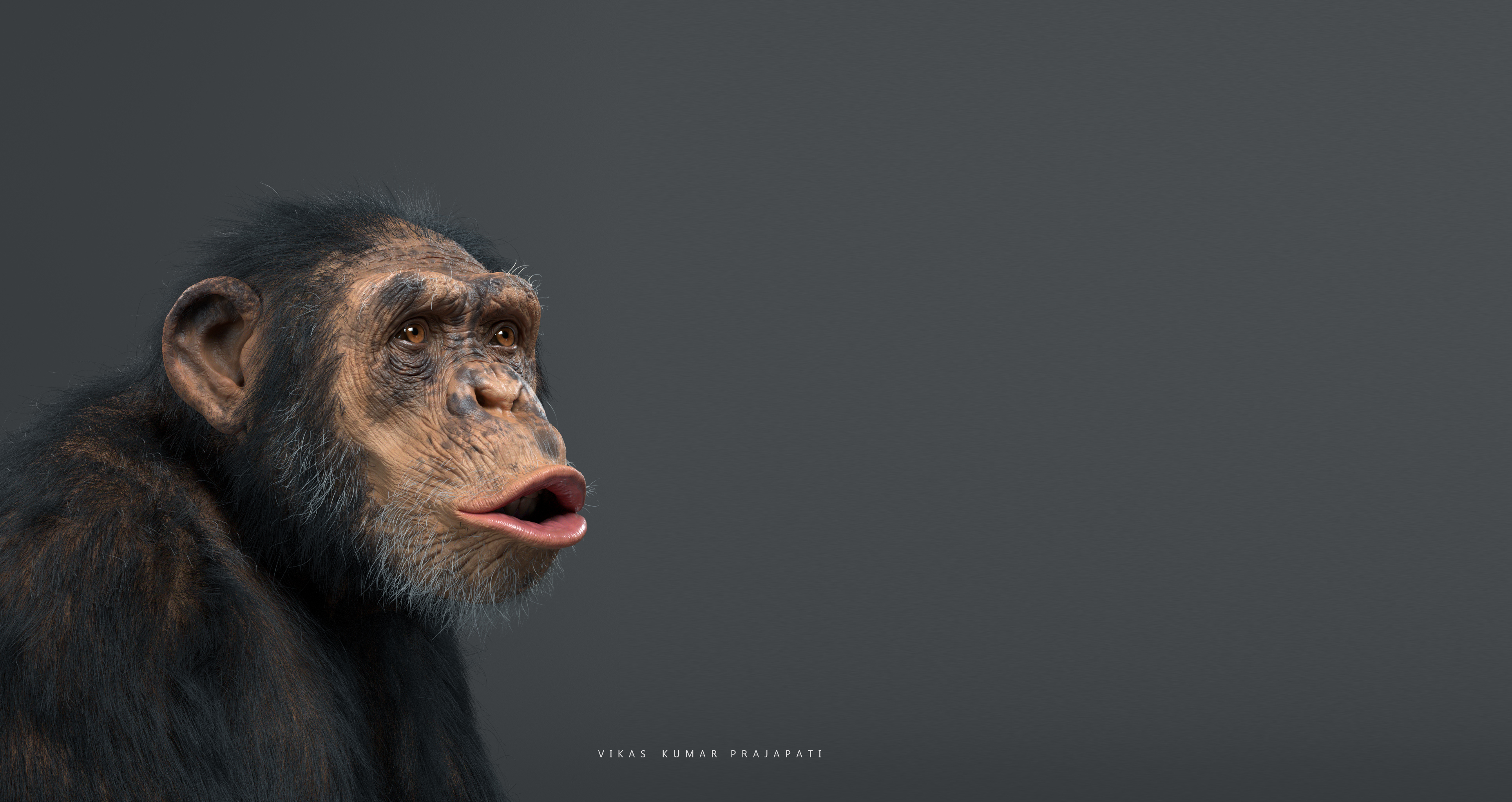 Chimp "Patrick" - ZBrushCentral