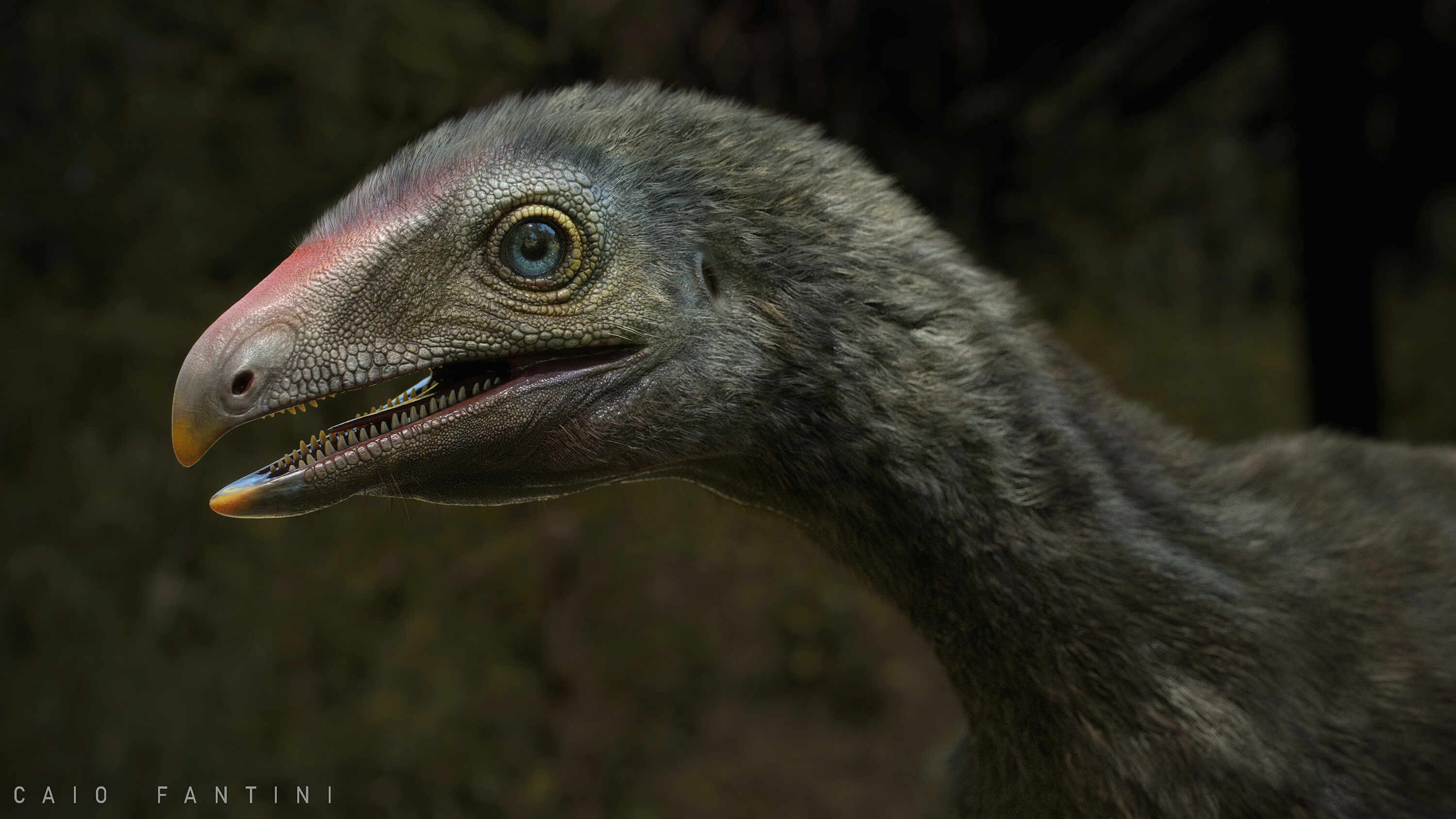 Venetoraptor gassenae - ZBrushCentral