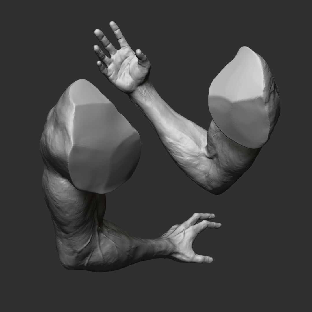 Anatomy study: Arms and hands - ZBrushCentral