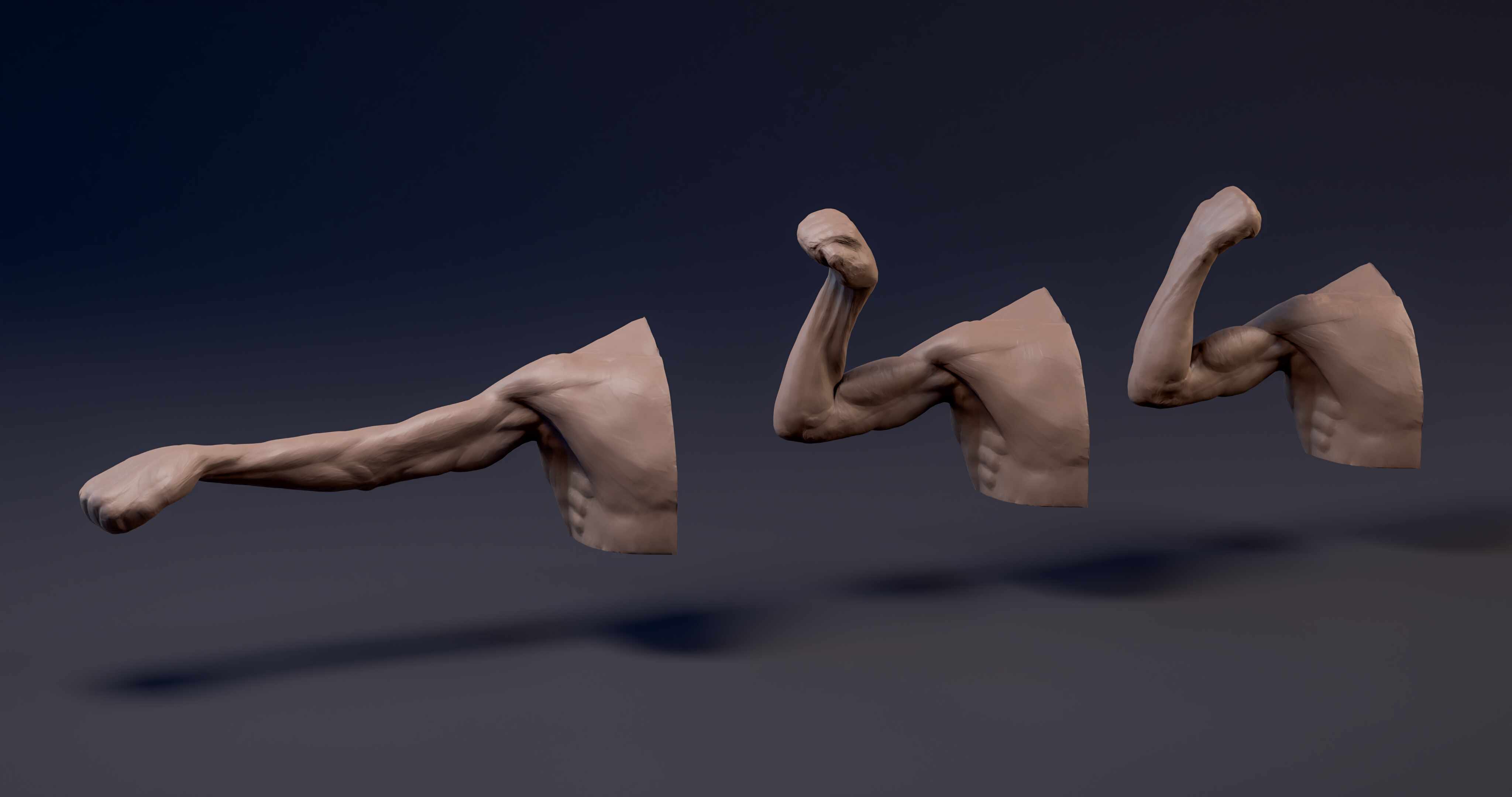 Arm Sculpt study Scott Eaton Digital Figure Sculpture Course ...