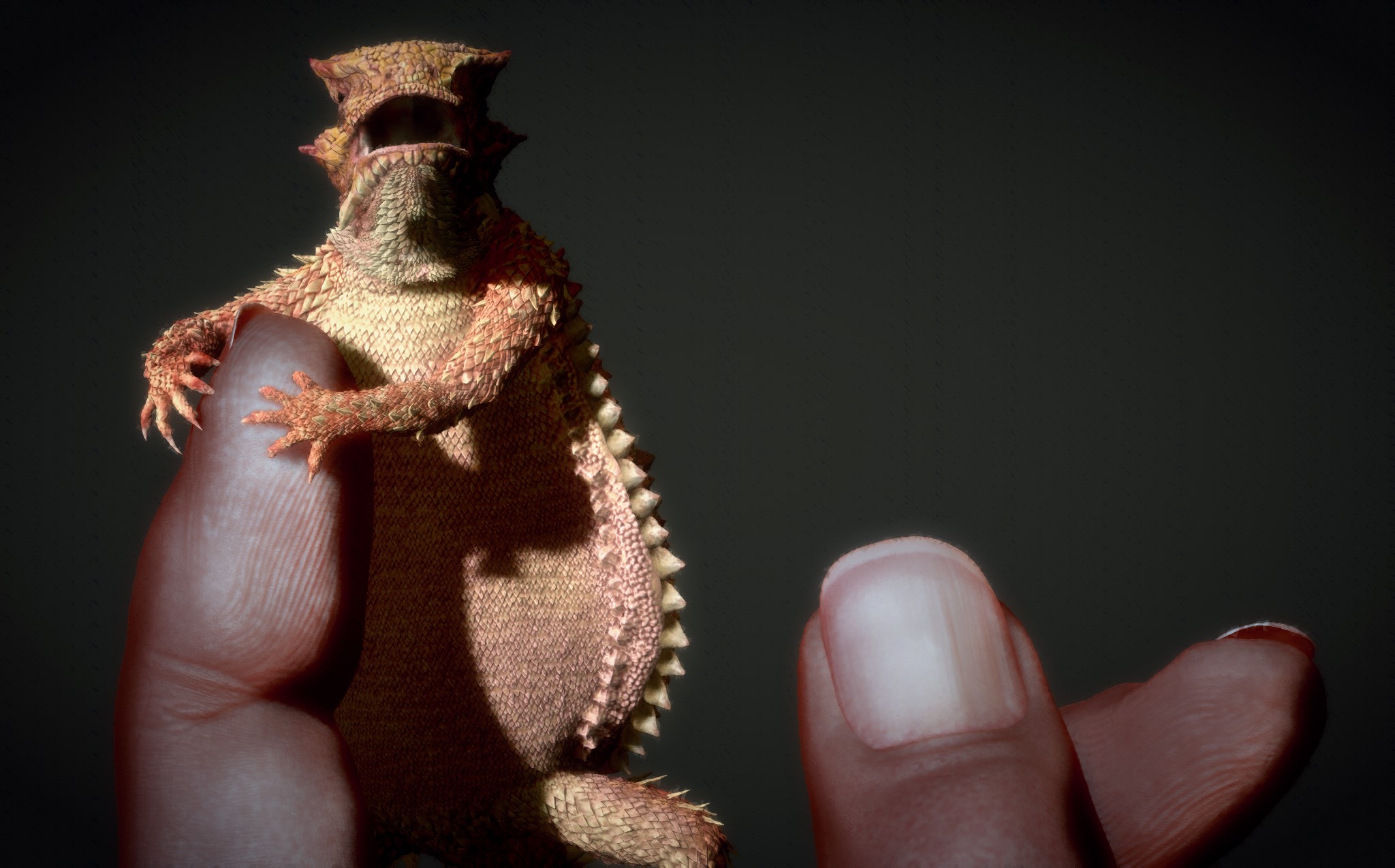 Horned Lizard for ZBrush Beta - ZBrushCentral