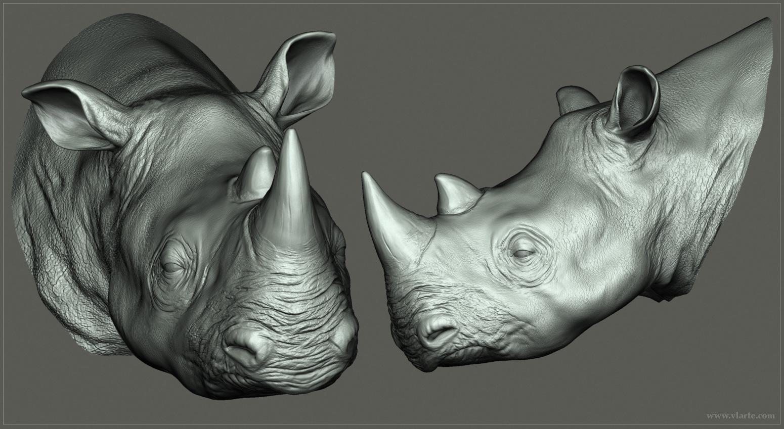 Rhinoceros - ZBrushCentral